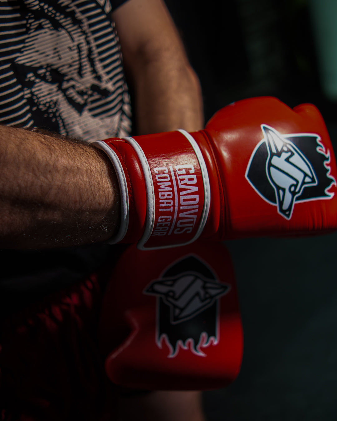 GRADIVUS Combat Gear - Equipamiento para Artes Marciales y Combate