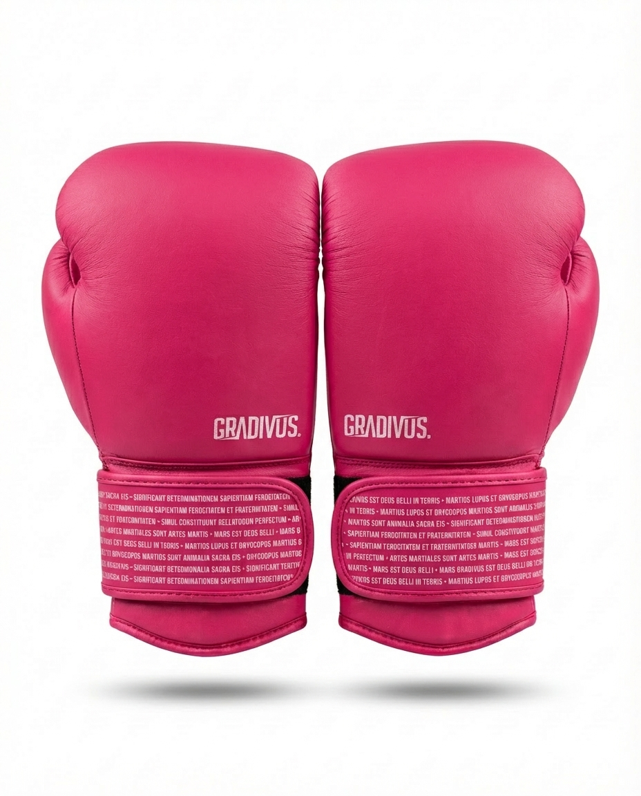 Box SparPro Romano (Nuevo) – GRADIVUS Combat Gear