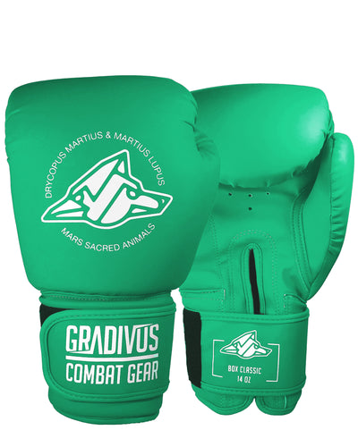 Productos – GRADIVUS Combat Gear