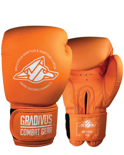 Guantes GRADIVUS – GRADIVUS Combat Gear